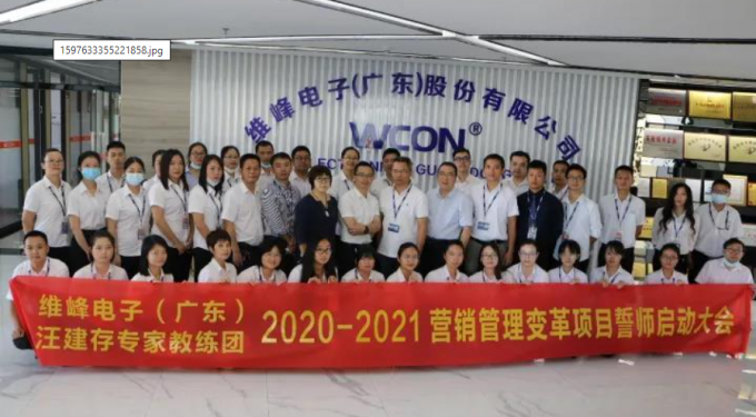 China WCON ELECTRONICS ( GUANGDONG) CO., LTD company profile